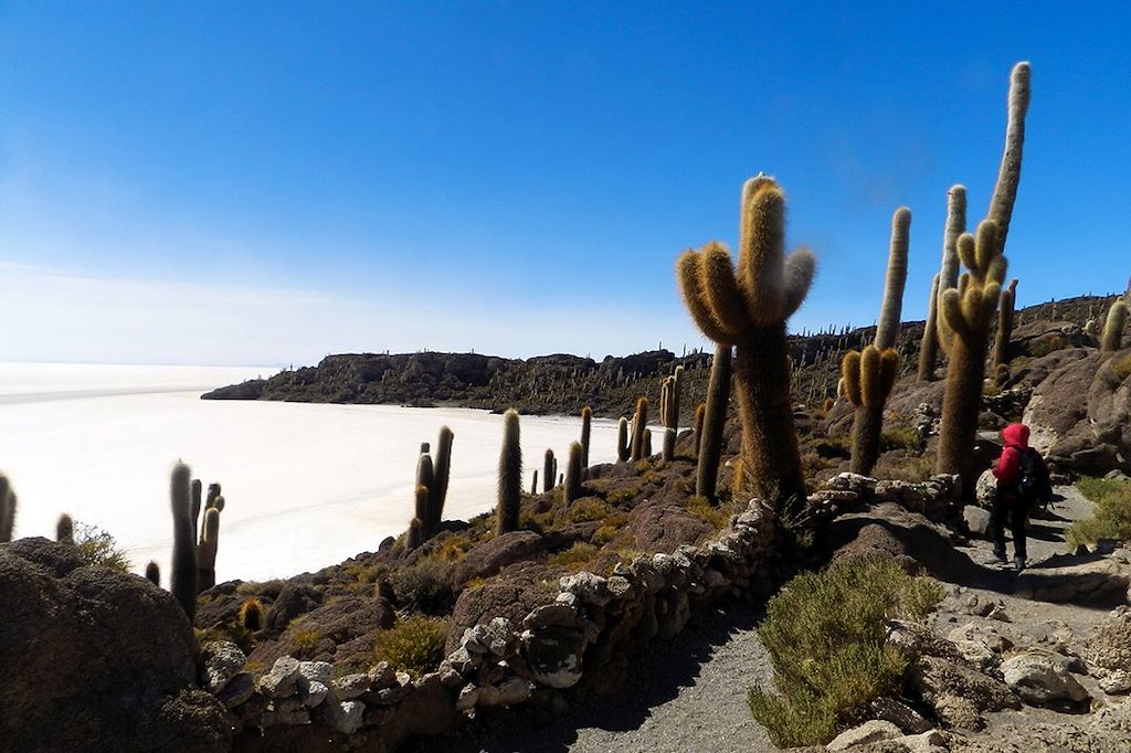 Expédition Sud Lipez - Ascension Tunupa - Volcan Uturuncu - 16 jours