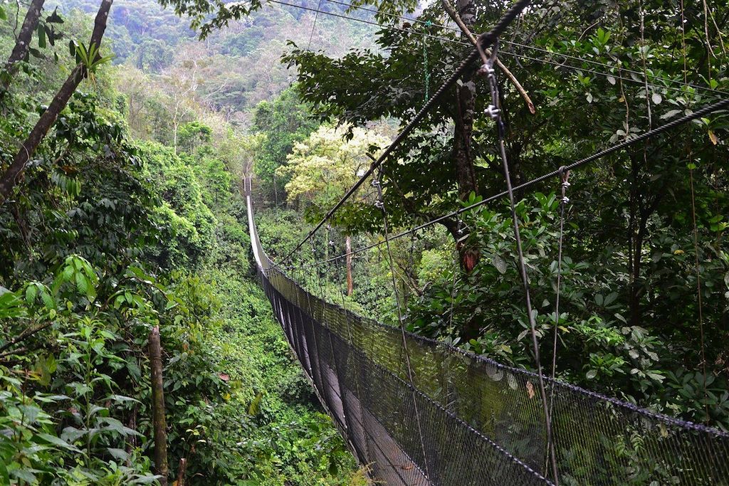Voyage Costa Rica | Randonnée et trek Costa Rica