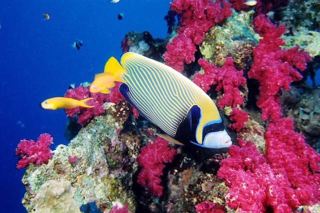 Croisière En Mer Rouge - Snorkeling En Egypte - Voyage Hurghada - 8 jours